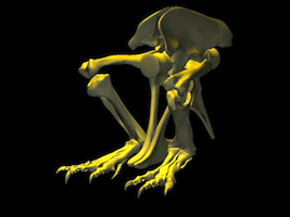 Getting up again was a different matter, and might well have involved ...